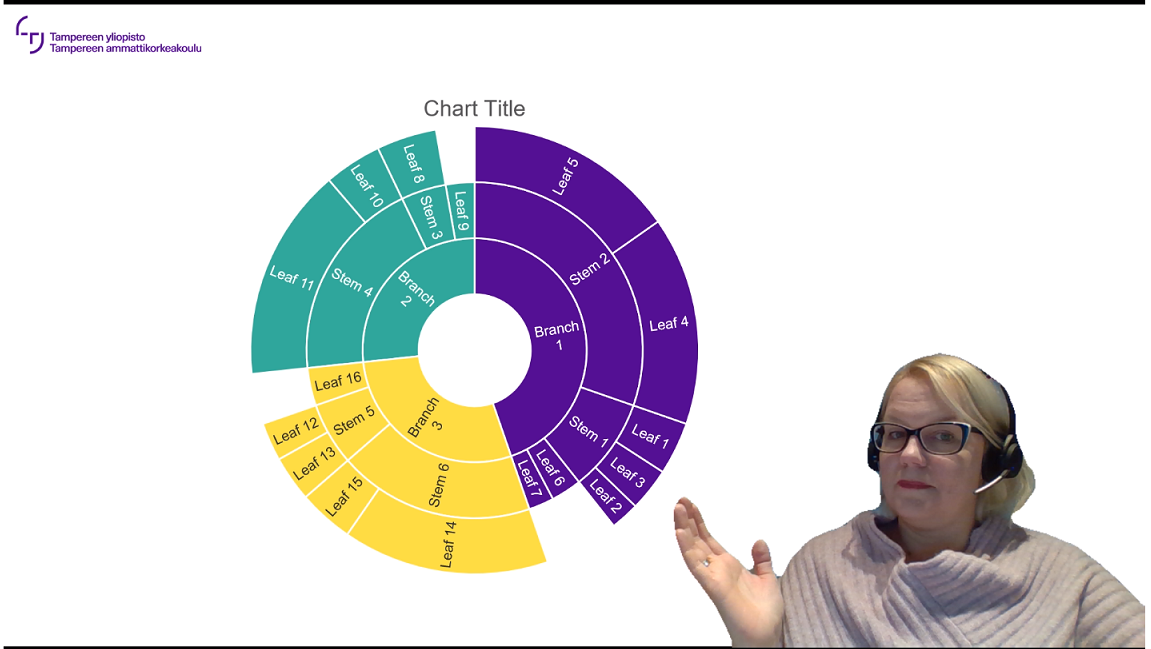 Presenter mode in Teams meetings | Digital toolkit | Tampere Universities