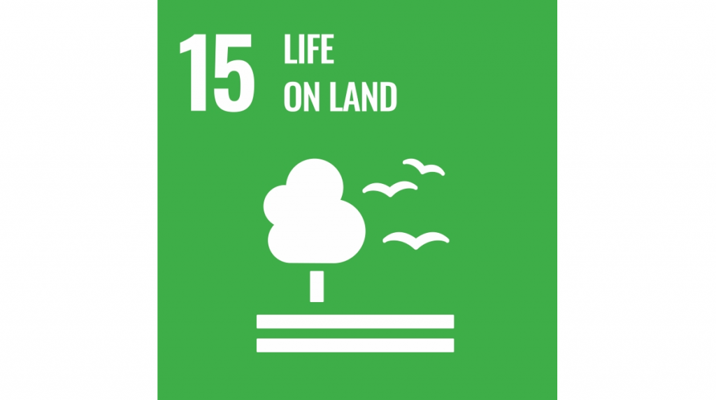 Goal 15: Life on land | Tampere University sustainable development ...