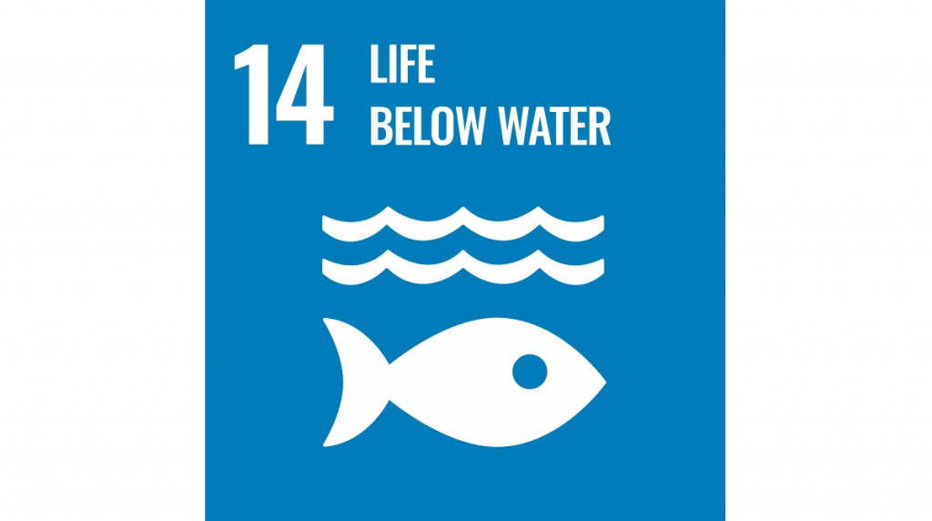 Goal 14: Life below water | Tampere University sustainable development report 2021-2022 ...