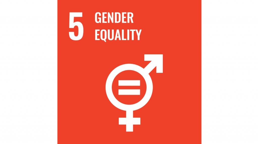 Goal 5: Gender equality | Tampere University sustainable development ...