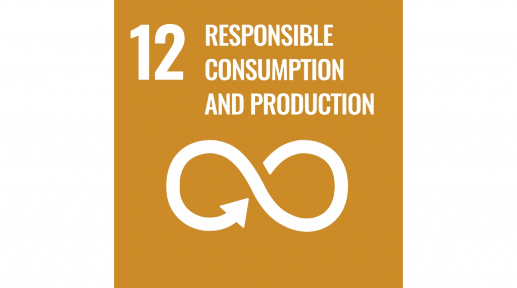 Goal 12: Responsible consumption and production | Tampere University ...